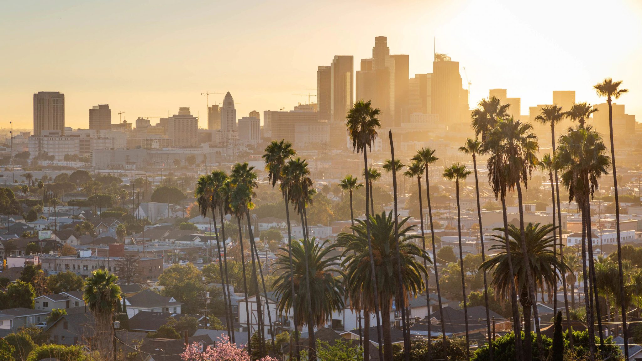 19 interessante Fakten über Los Angeles ᐈ MillionenFakten