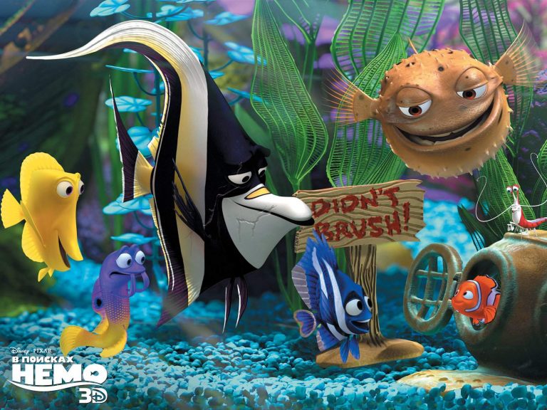 22 interessante Fakten über Findet Nemo ᐈ MillionenFakten